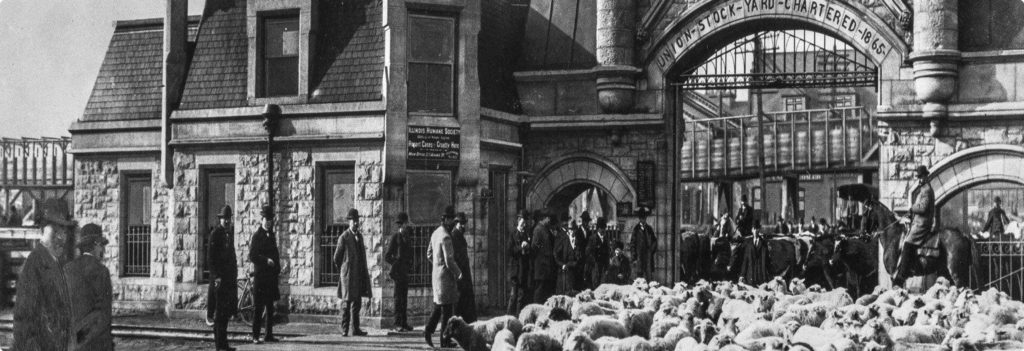 About Us - Miniat Website